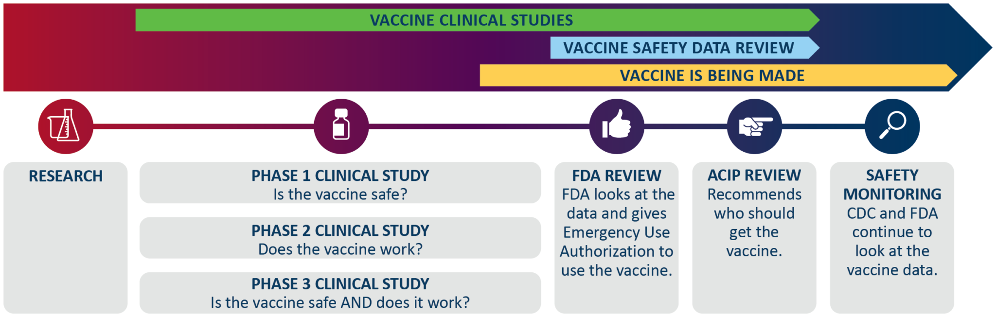 How COVID-19 Vaccines Are Made - Immigrant Law Center of Minnesota